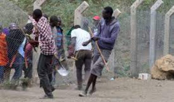 Tension as youth attempt to raid Kedong ranch after Northlands invasion ...