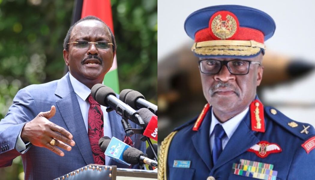 Kalonzo makes new demand over Gen Francis Ogolla's chopper crash ...