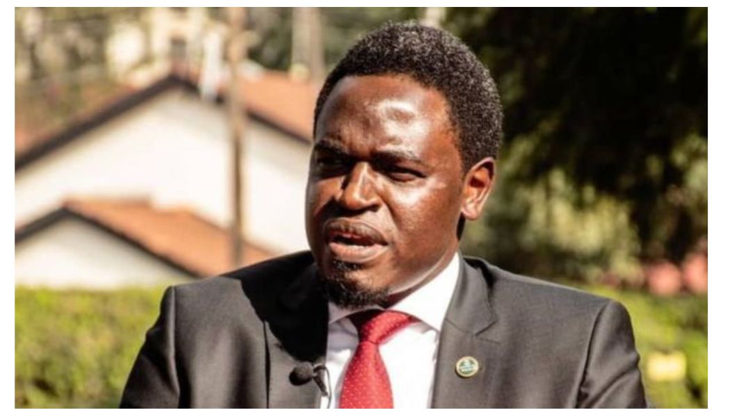 Lawyer Nelson Havi offers to defend Kenyans growing Bhang inside Mt ...