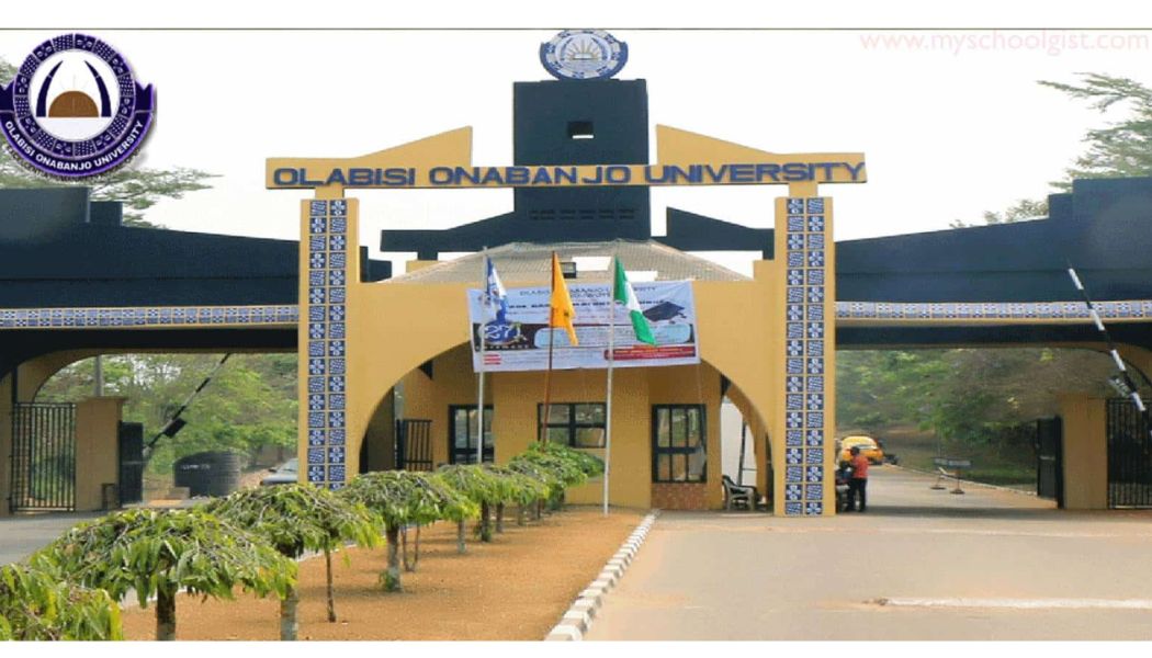 'No-bra, no-exam' rule at Nigerian university sparks outrage - AfrinewsKE