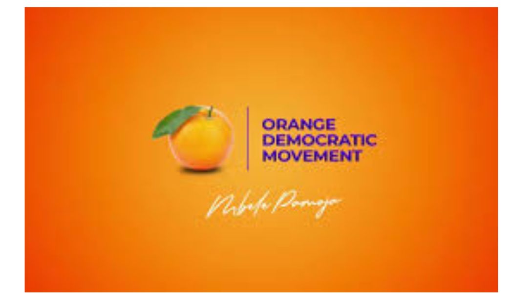 Why ODM Party might collapse - MP Aspirant - AfrinewsKE