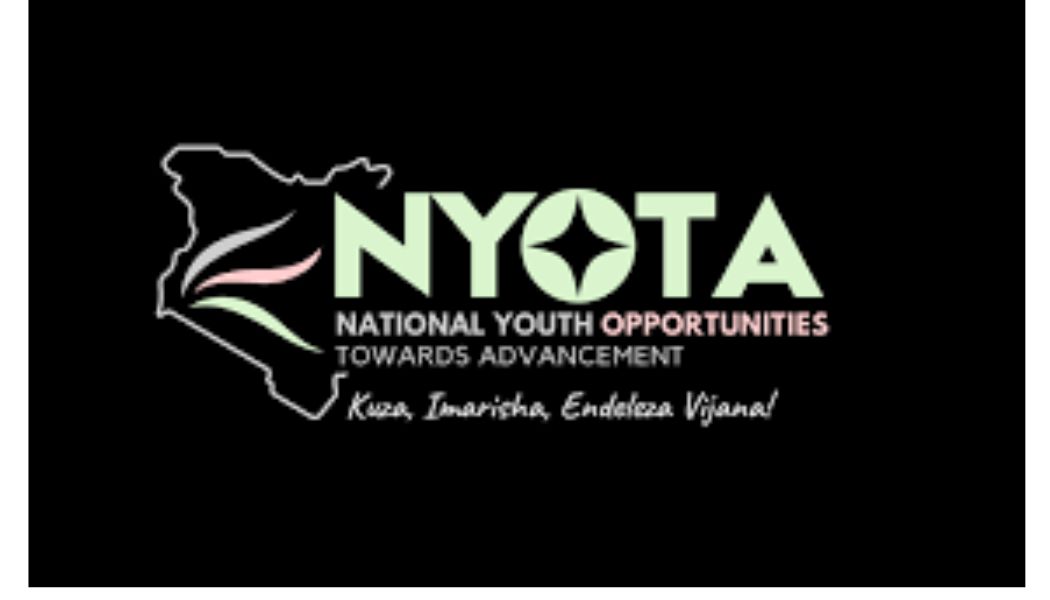 Nationwide interviews for 100,000 NYOTA grant beneficiaries to begin on ...