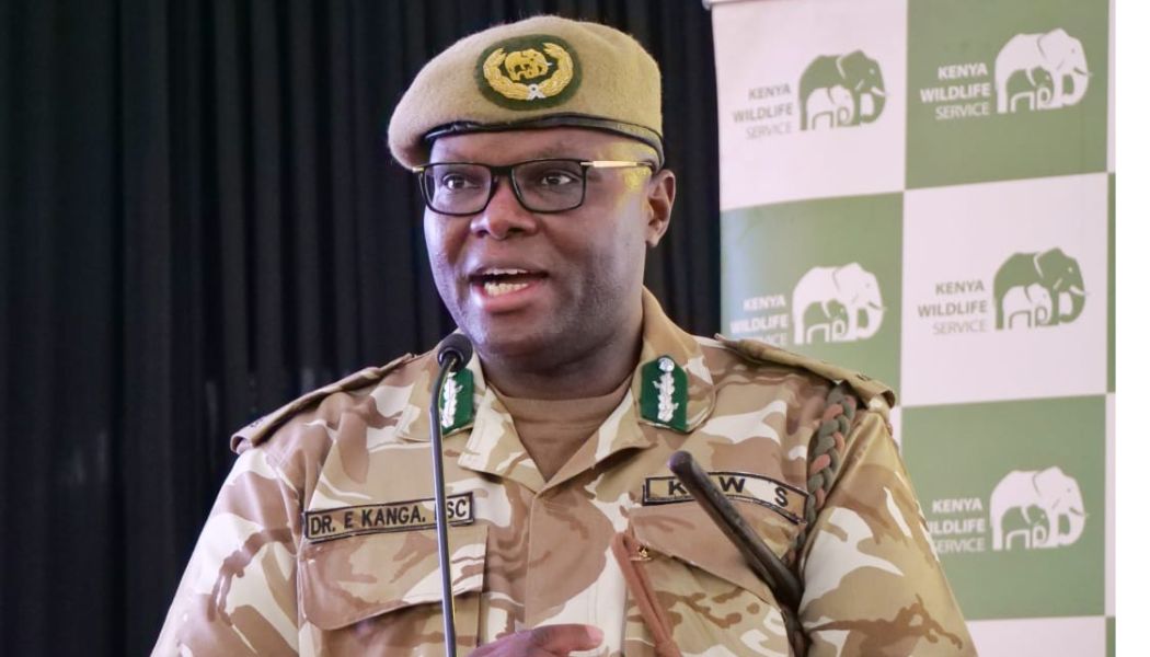 KWS rolls out new ‘KWSPay’ system for seamless park payments - AfrinewsKE