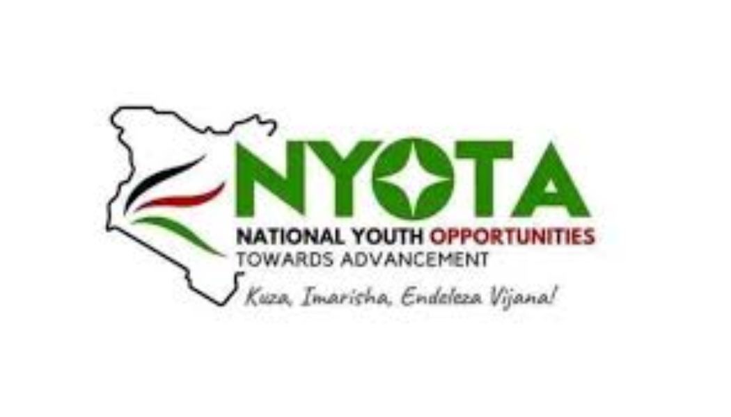 Government rolls out second phase of NYOTA youth business grants across ...